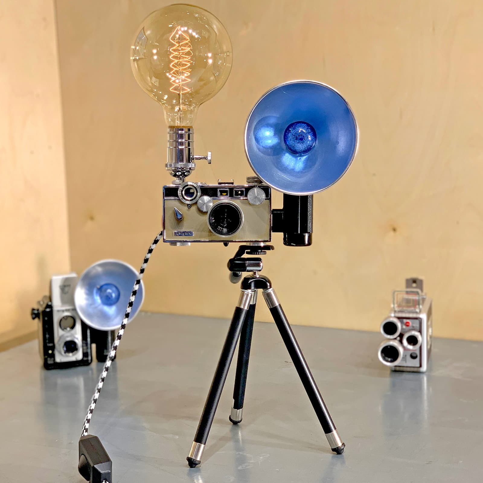 Harry Potter Camera Light | Rosie's